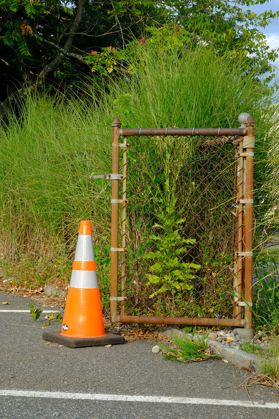 rjspix | Gate and Cone